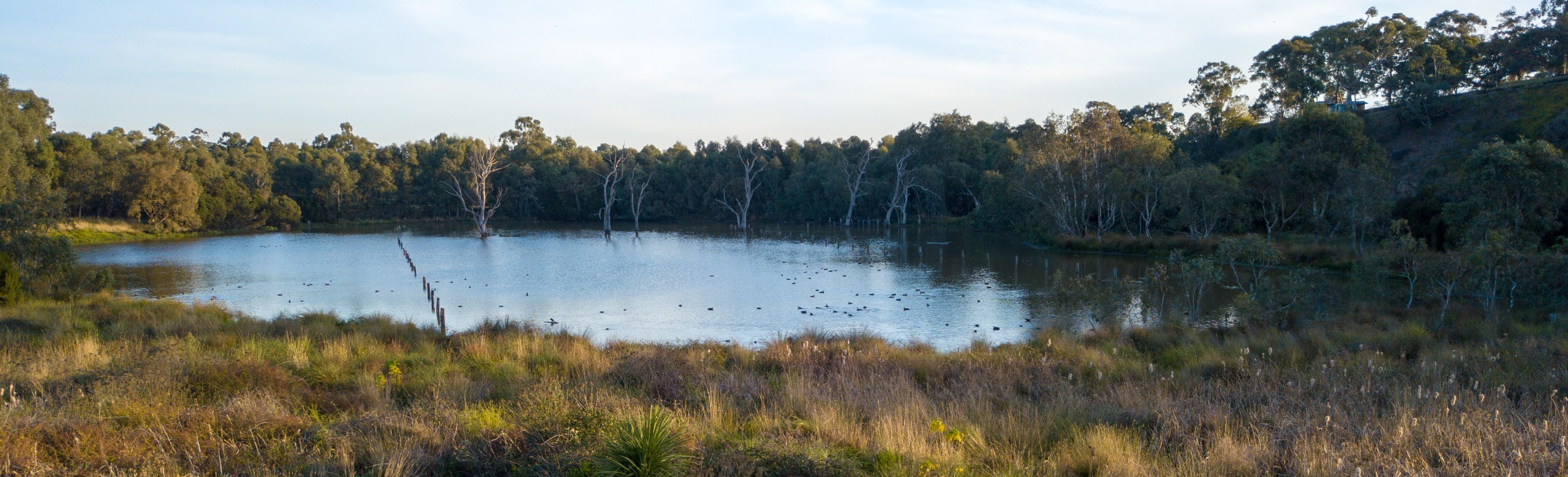 Biodiversity Community Working Group | Biodiversity Strategy | Shaping ...