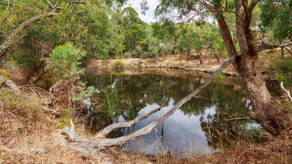 Pecks Dam upgrade | Shaping Banyule