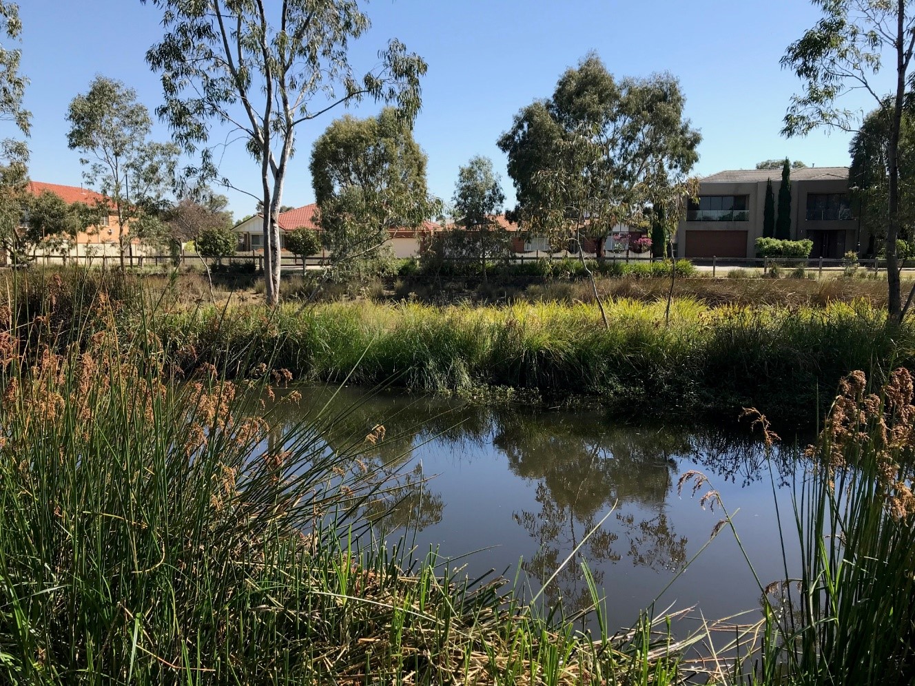 Redmond Court Wetland Reserve upgrades | Shaping Banyule