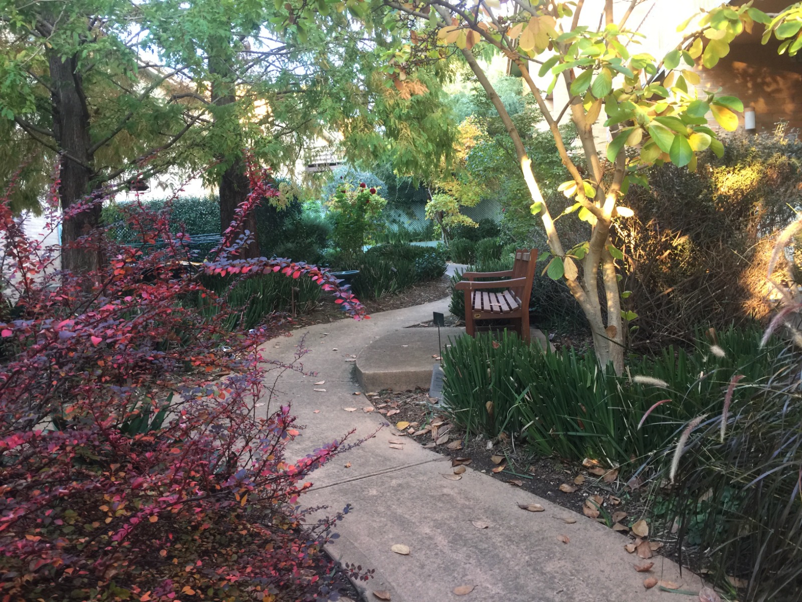 2020 calendar | Shaping Banyule