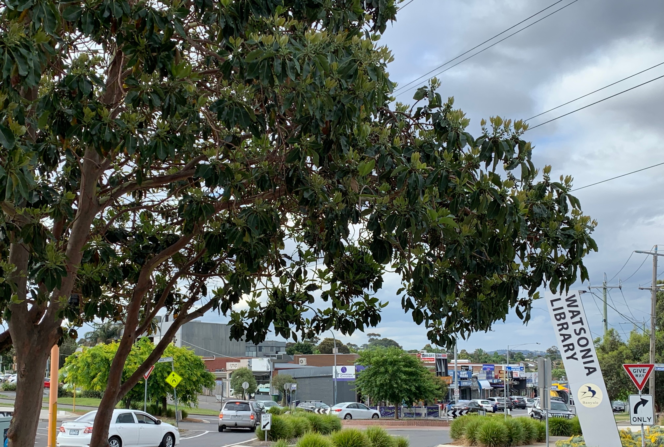 Watsonia Town Square - Expression of Interest | Watsonia Town Square ...